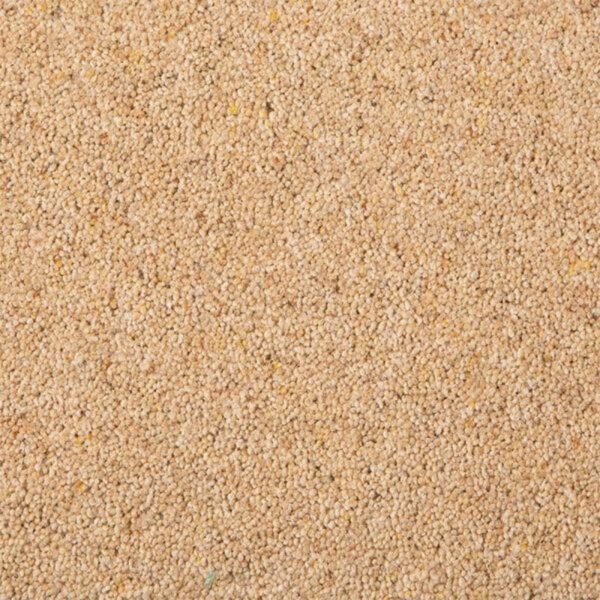AT LEAST 70% OFF Thomas Witter Accolade 55oz Mellow Gold 4.8m x 8.75m